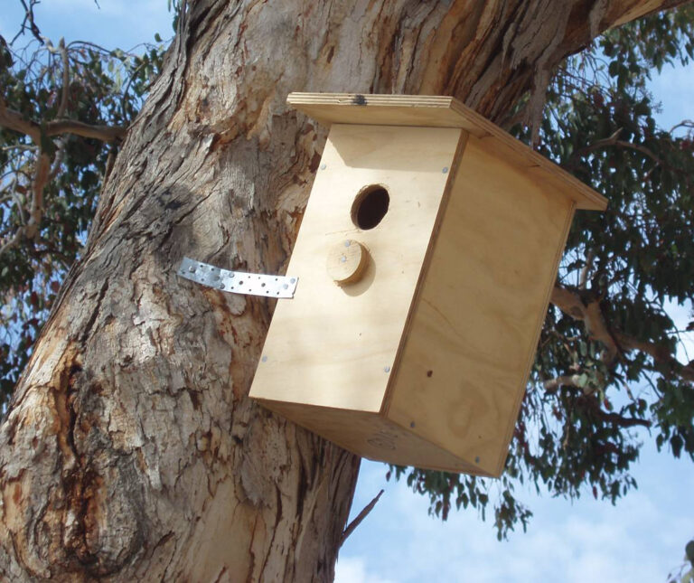 How to Make a Rosella Nesting Box – CIMAG